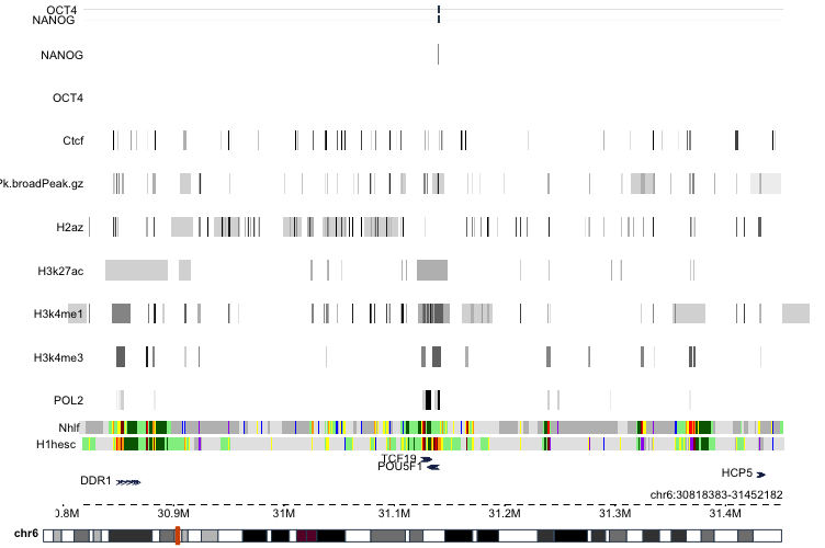 GitHub - PoisonAlien/trackplot: Generate IGV style locus tracks from bigWig files in R