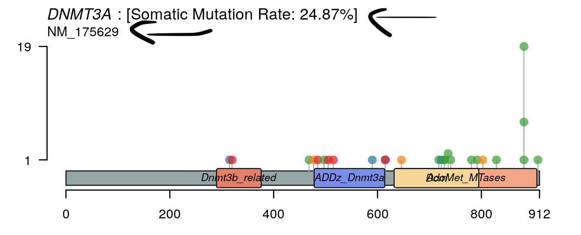 Lollipop Plot "structure for protein "-----" not found" · Issue #616 · PoisonAlien/maftools · GitHub