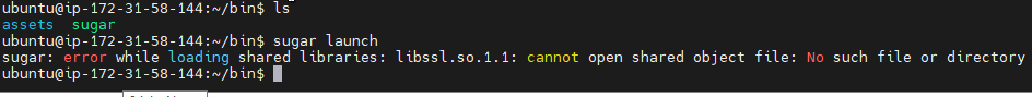 On Ubuntu 20.04 after installing libssl-dev libudev-dev pkg-config - error while loading shared ...