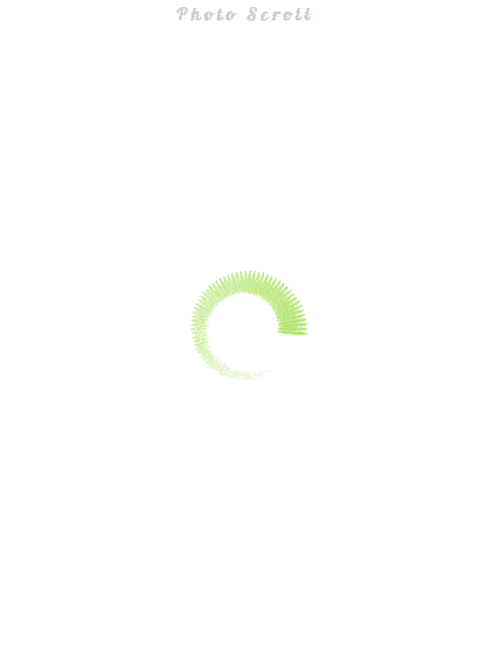 GitHub - J-S-G/Infinite_Scroller