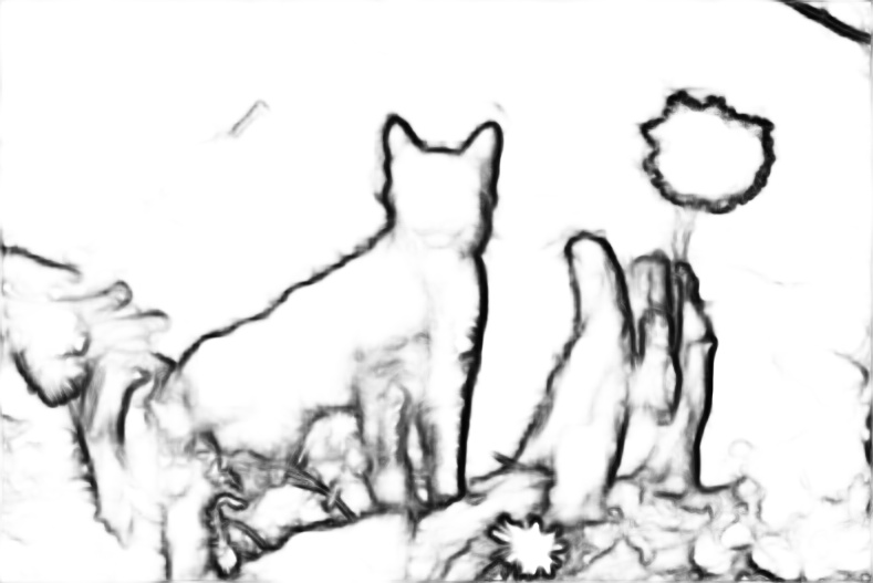 Different Behavior Of Crop Layer · Issue 20807 · Opencvopencv · Github