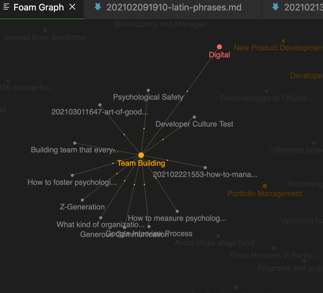 Graph nodes are not properly highlighted on light themes · Issue #455 · foambubble/foam · GitHub