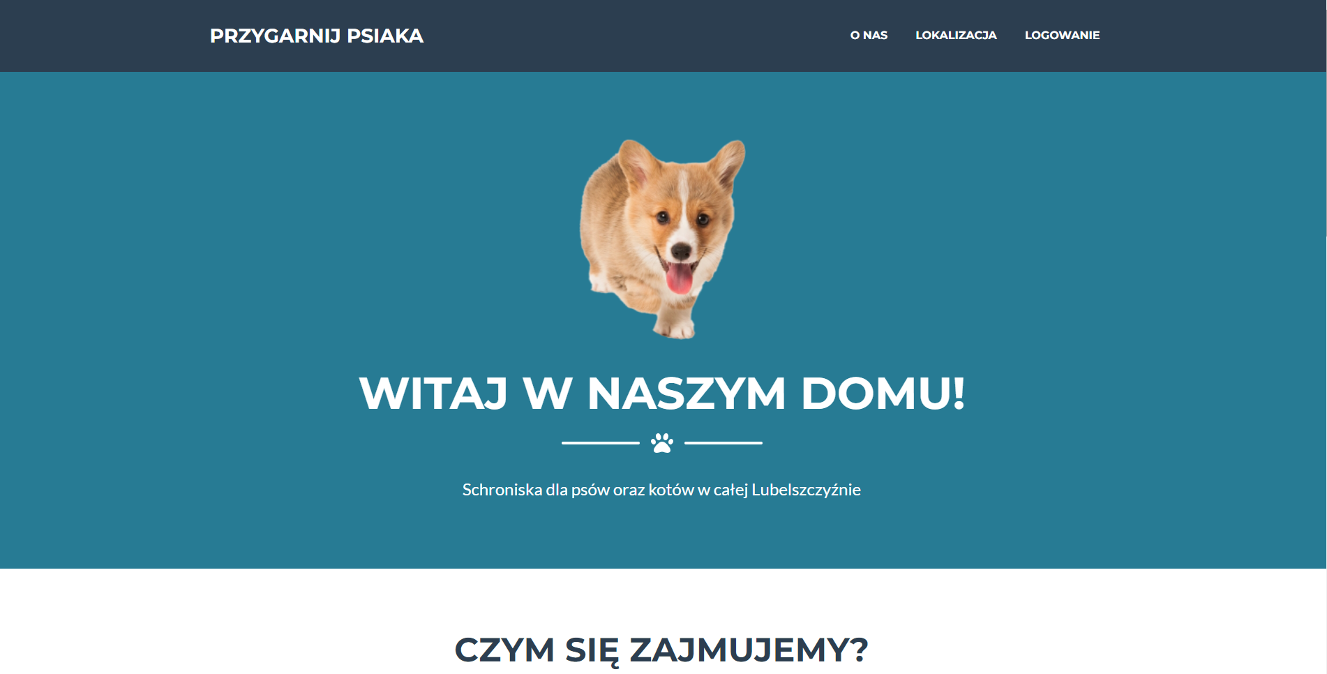 GitHub - mrcszym/Dog-shelter-frontend