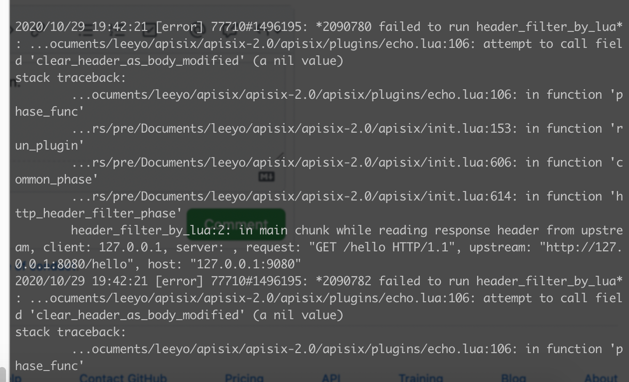 Request Help Abnormal Output After Using Echo Plugin · Issue 2554 · Apacheapisix · Github