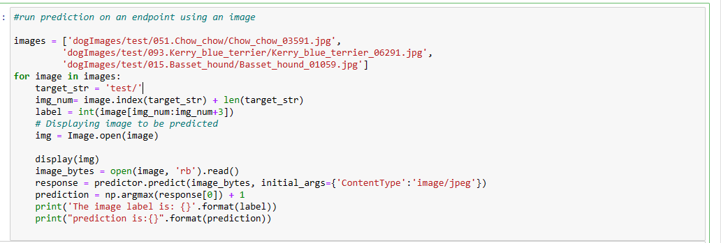 GitHub - HebaMa7moud/image_classification_AWS