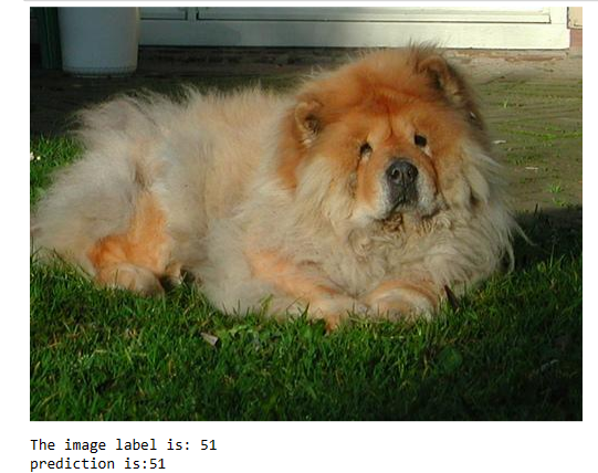 GitHub - HebaMa7moud/image_classification_AWS