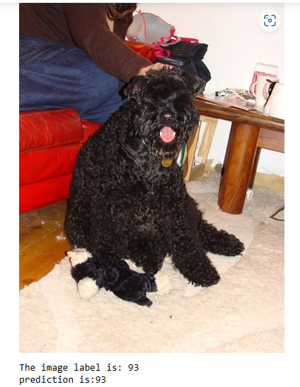 GitHub - HebaMa7moud/image_classification_AWS