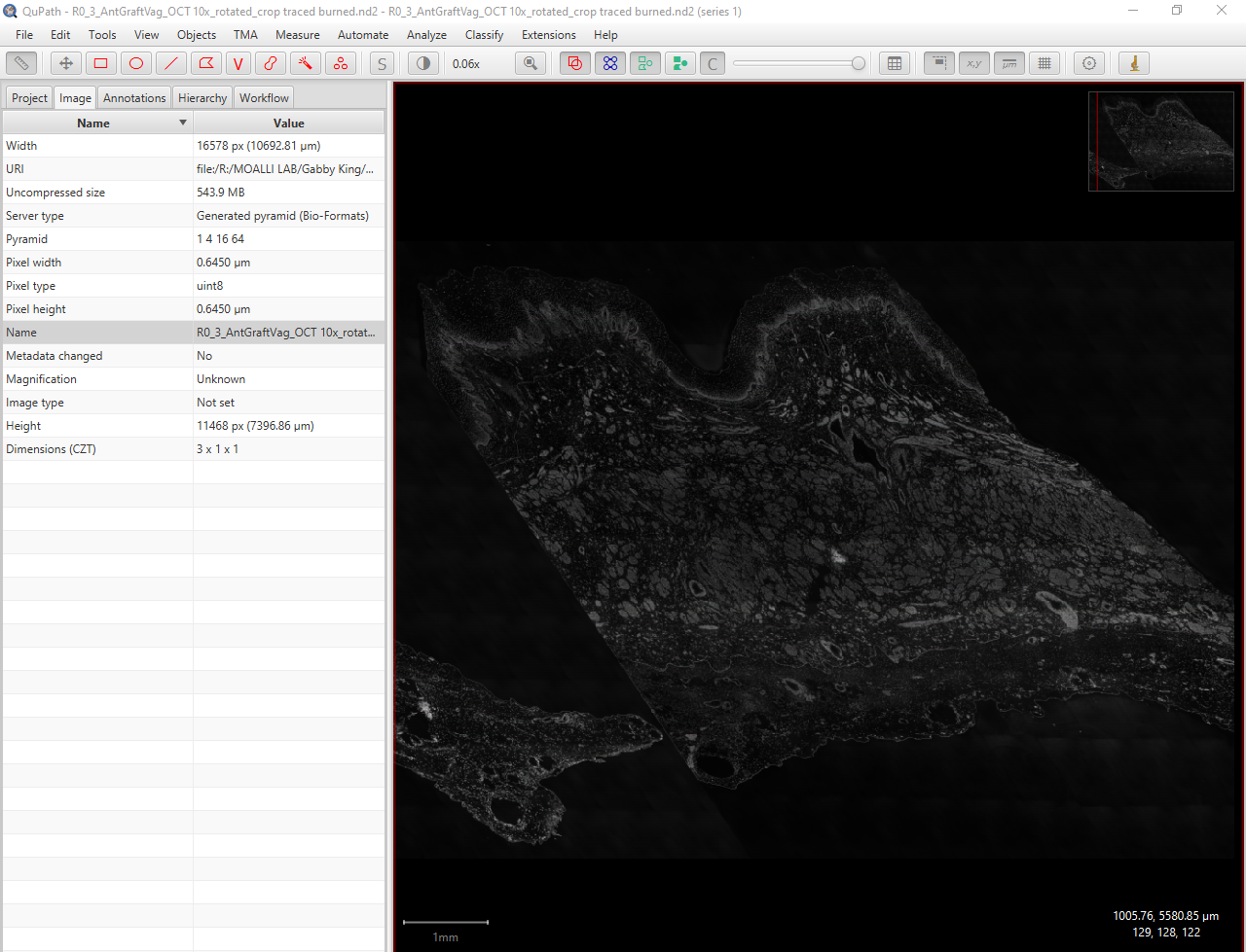 Issue Opening Some Images In Qupath Nd2 File Type · Issue 690