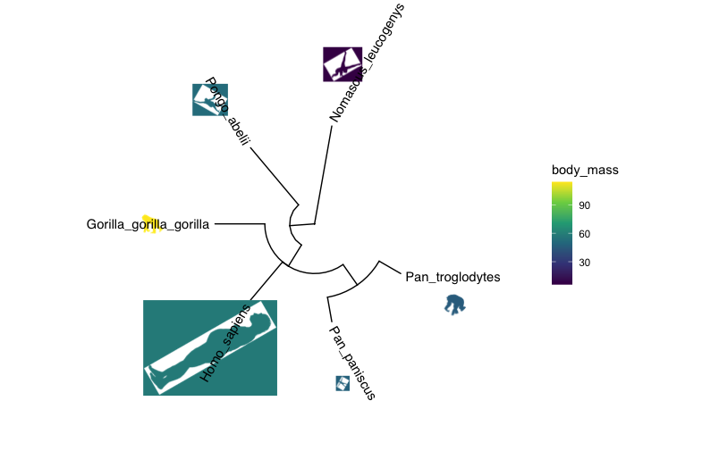 Phylopic image background is coloured when using circular tree layout · Issue #587 · YuLab-SMU ...