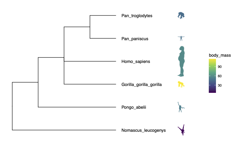 Phylopic image background is coloured when using circular tree layout · Issue #587 · YuLab-SMU ...