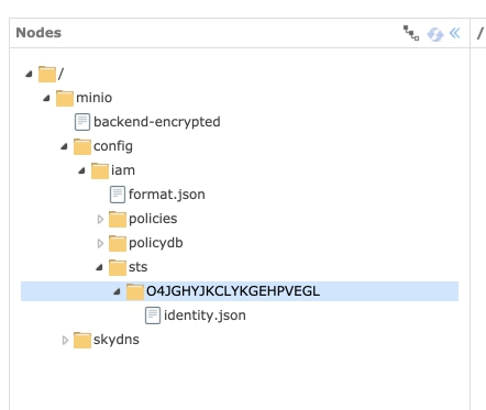 Environment variable as a prefix for all etcd records. · Issue #8567 · minio/minio · GitHub