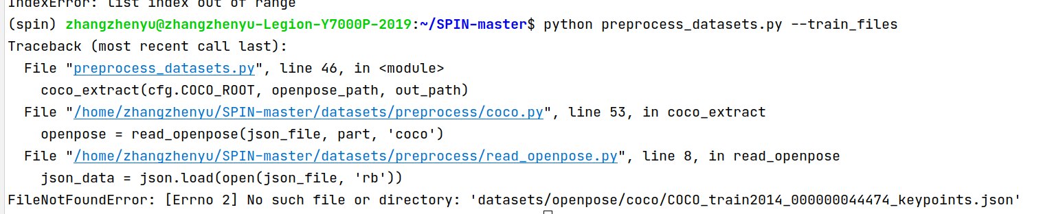 about the openpose · Issue #106 · nkolot/SPIN · GitHub
