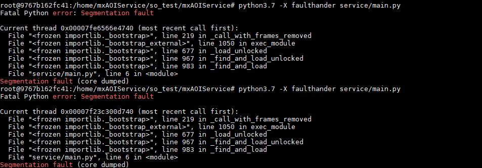 [BUG] Core dump occurs in code compiled using 3.0a6. · Issue #4263 · cython/cython · GitHub