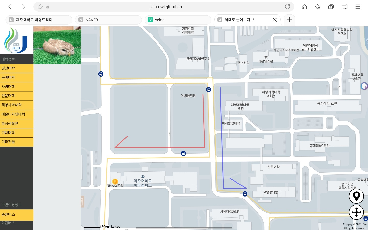 순환 버스 A노선 B노선 구분 · Issue #21 · Jeju-owl/JNU-guide · GitHub