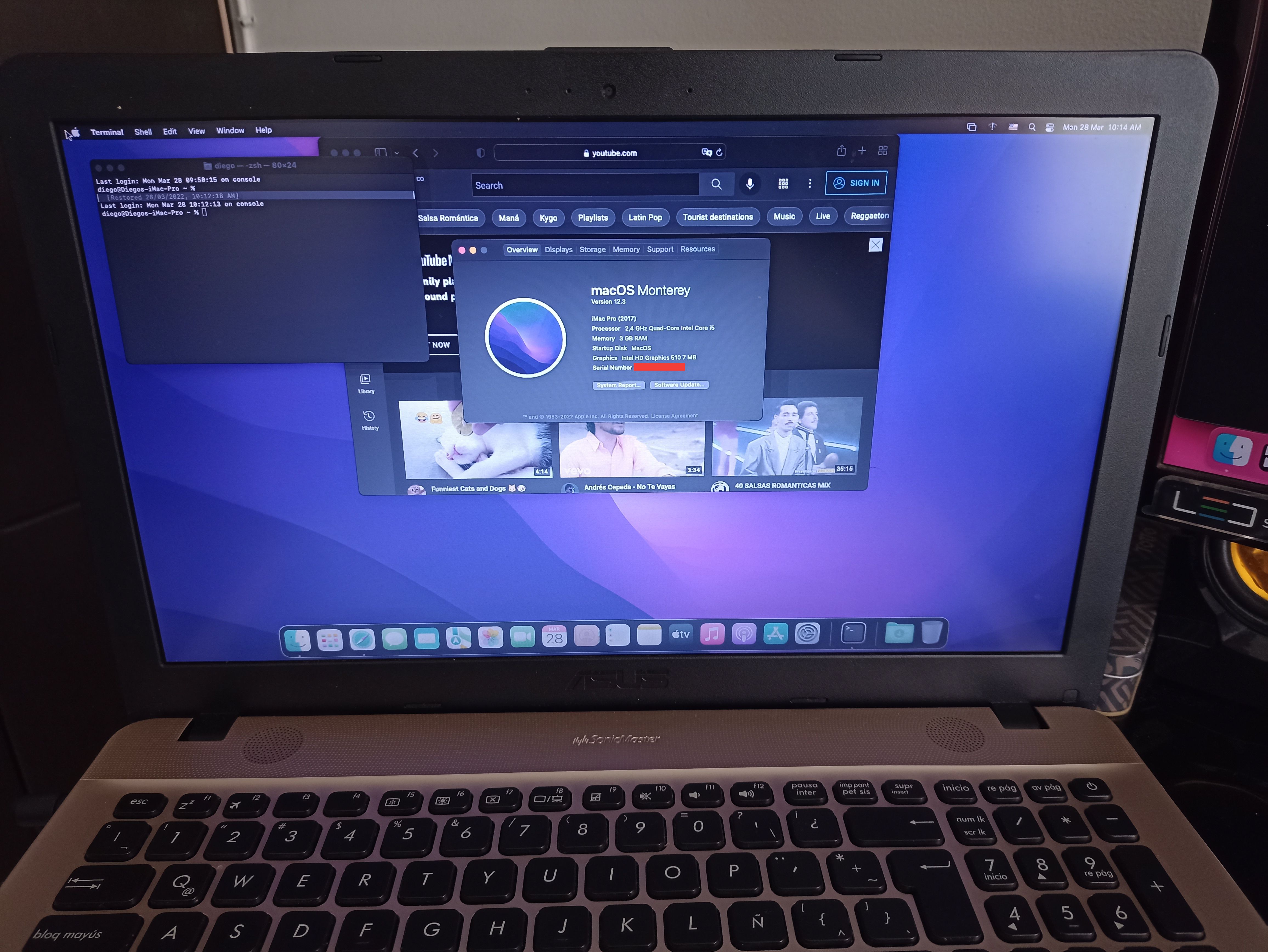 How To Increase Video Memory · Issue 553 · Foxletmacos Simple Kvm