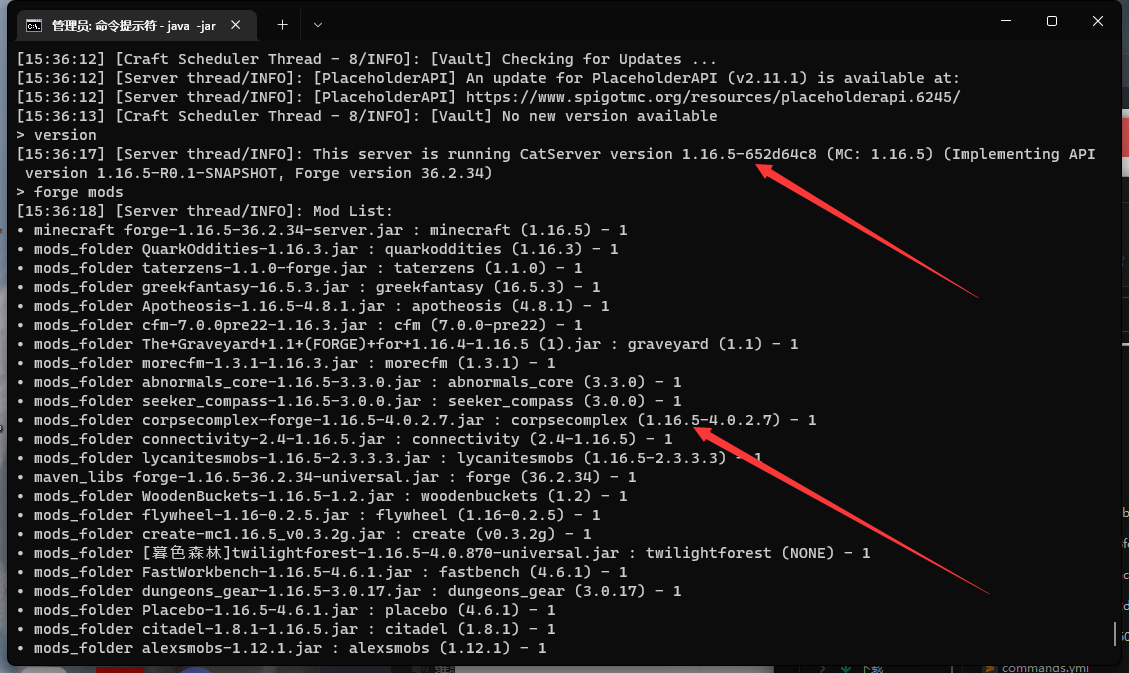 [1.16.5] JDK11启动服务器失败 · Issue #423 · Luohuayu/CatServer · GitHub