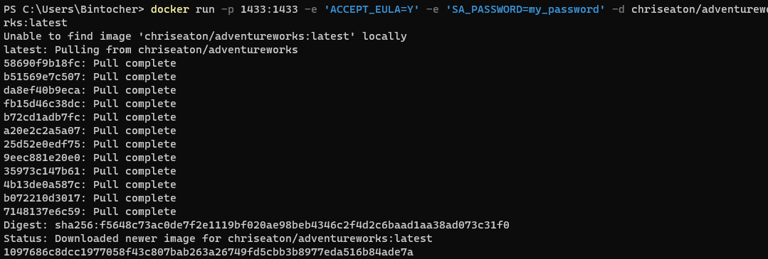 qlik-lib/docs/Установка postgresql и mssql в docker с тестовой БД AdventureWorks.md at main ...