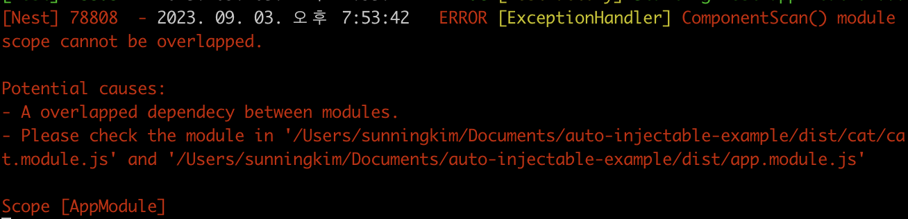 even more `Nest` like error · Issue #44 · tiny-nestjs/auto-injectable · GitHub