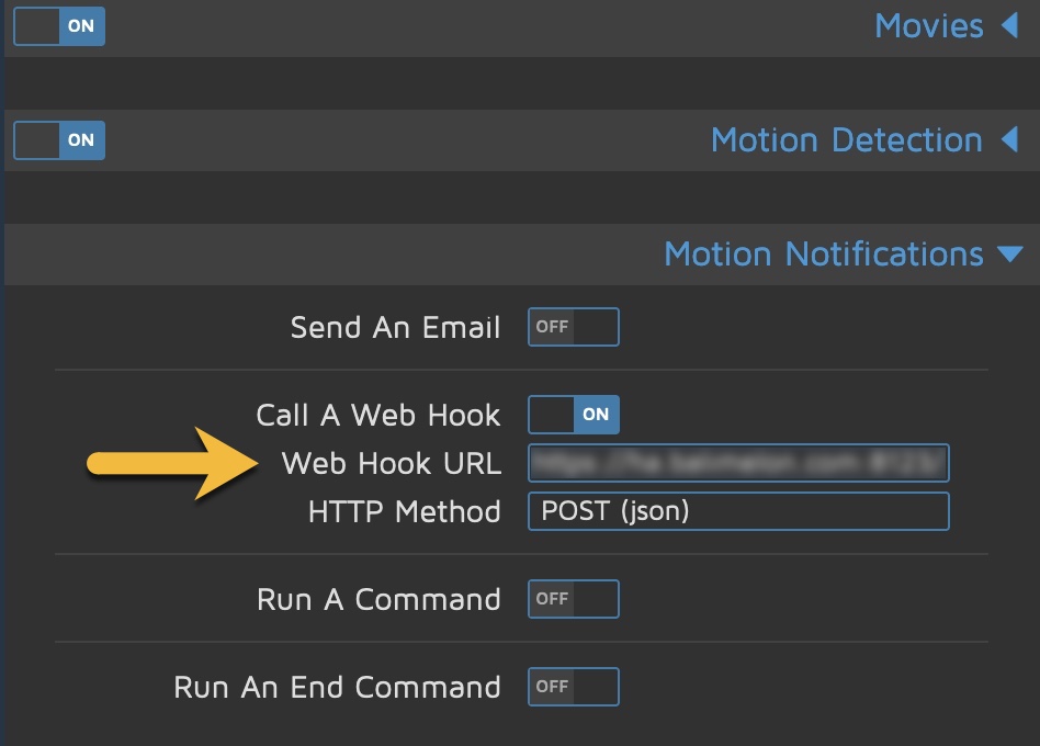 Motion Notification Web Hook URL is reset to default after restarting Home Assistant · Issue ...