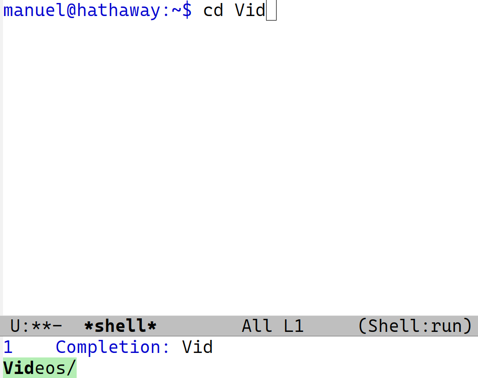 Tab-completion in shell-mode · Issue #260 · radian-software/selectrum · GitHub