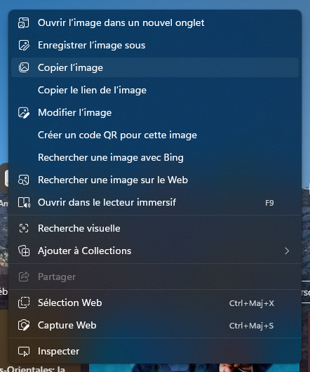 Menu Flyout Acrylic doens't work in Windows 11 · Issue #8396 · microsoft/microsoft-ui-xaml · GitHub