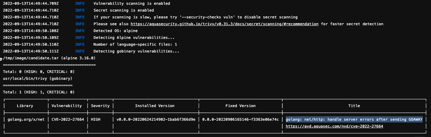 Cve 2022 27664 Golang Net Handle Server Errors After Sending Goaway · Issue 2862