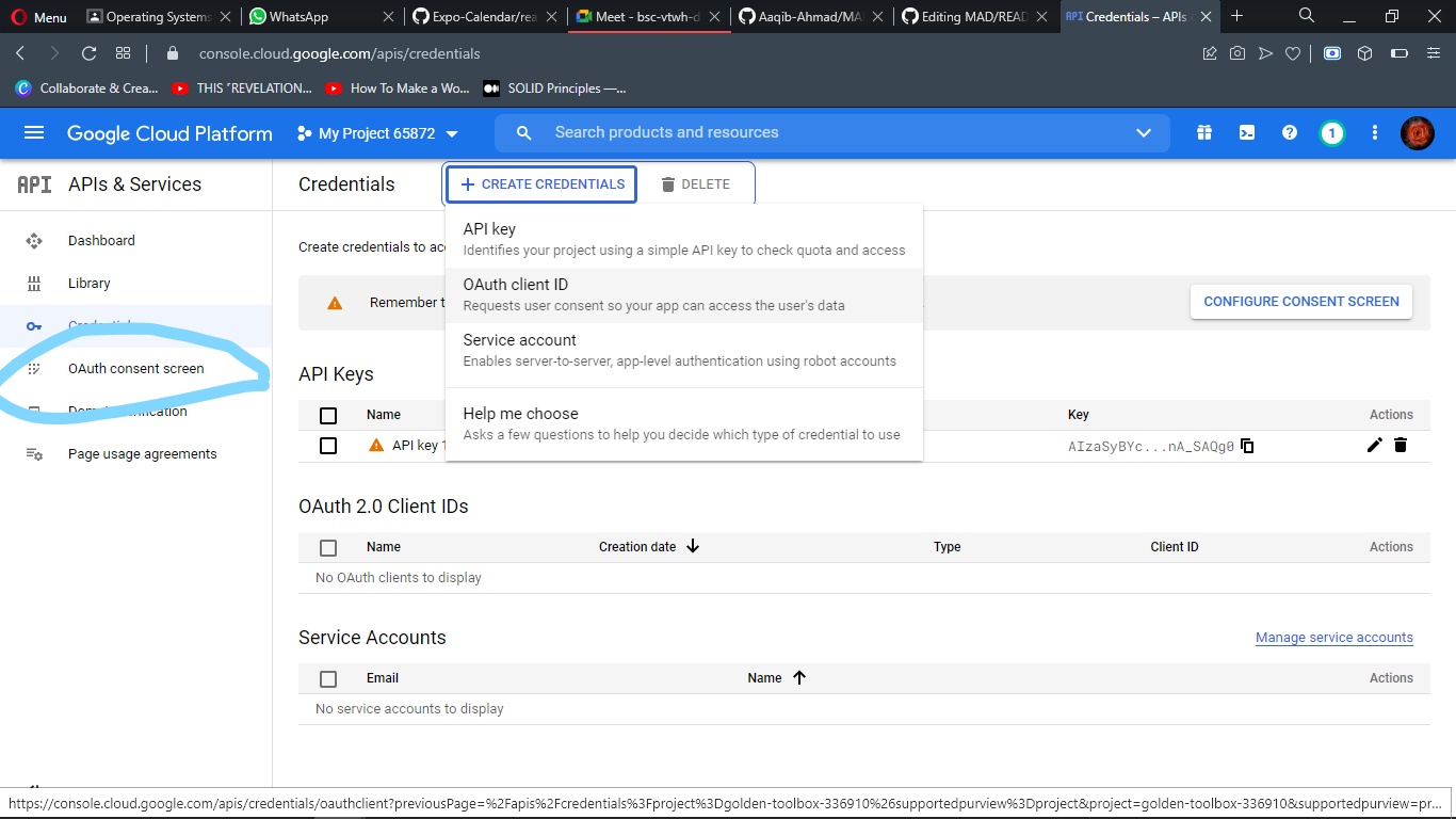 GitHub - TalhaAhmedCui/Expo-Calendar: Expo calendar using Google ...