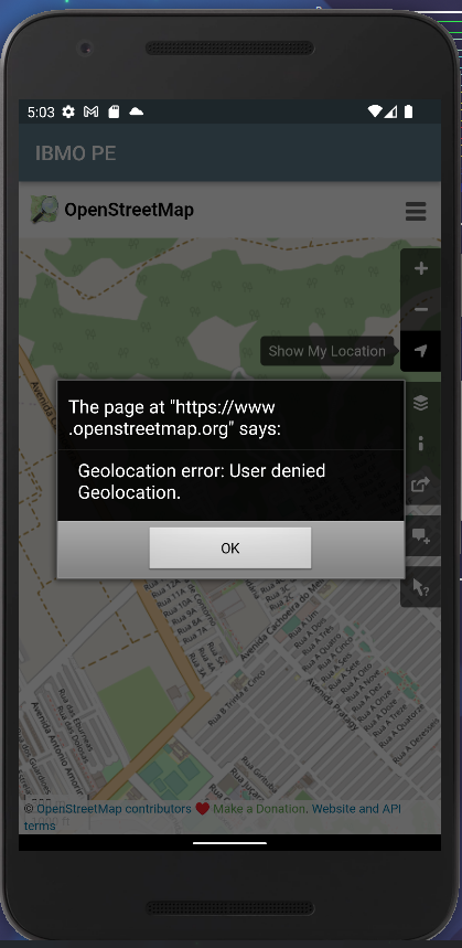 How to allow my location on webview? · Issue #1638 · pichillilorenzo ...