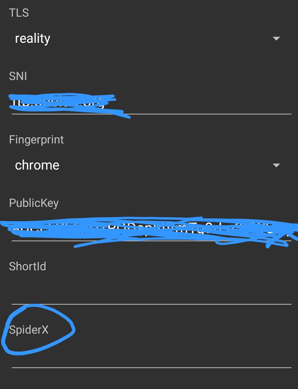 The Absence Of Spiderx Causes The Config Not To Work · Issue 471