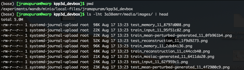 Inconsistent image display with WandB frontend · Issue #1200 · wandb/wandb · GitHub