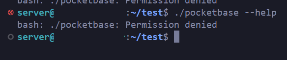Permission denied when running ./pocketbase serve on ubuntu server 22.04 · pocketbase pocketbase ...
