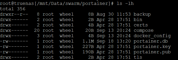 Environment unreachable after portainer upgrade · Issue #7691 · portainer/portainer · GitHub