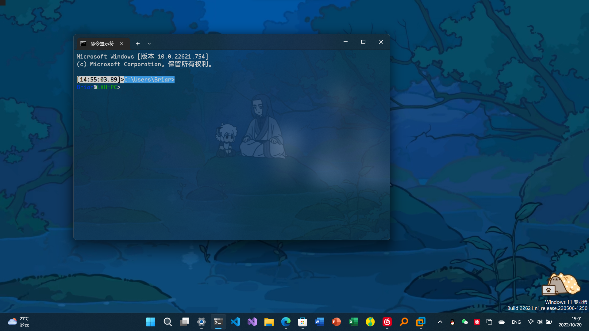 A black block appears in my desktop when I launch and minimize Terminal ...