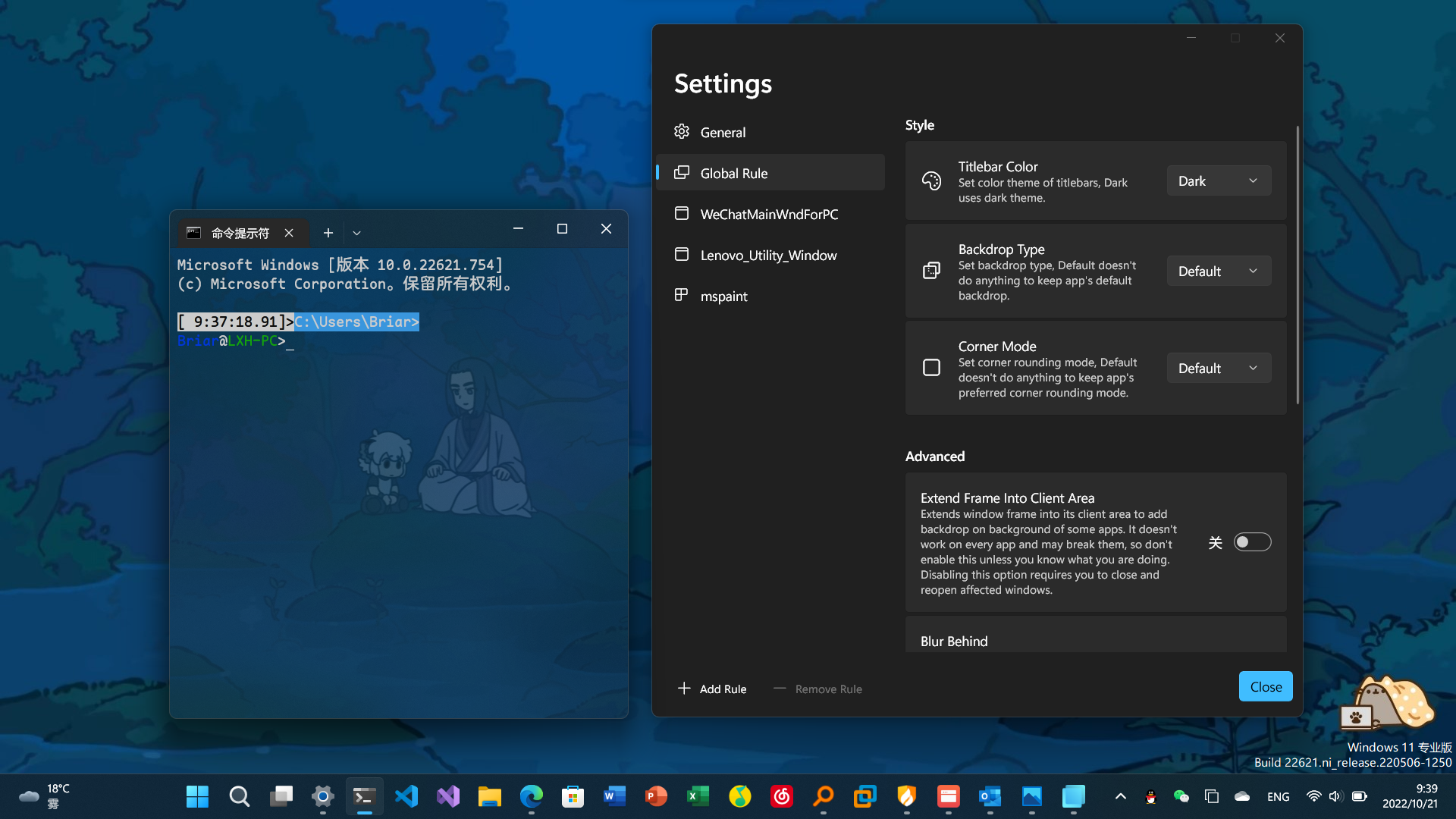 A black block appears in my desktop when I launch and minimize Terminal ...