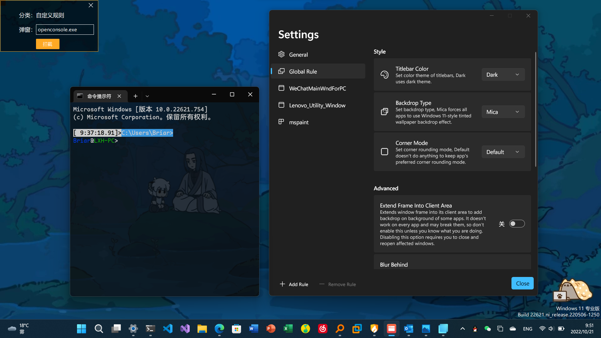A black block appears in my desktop when I launch and minimize Terminal ...