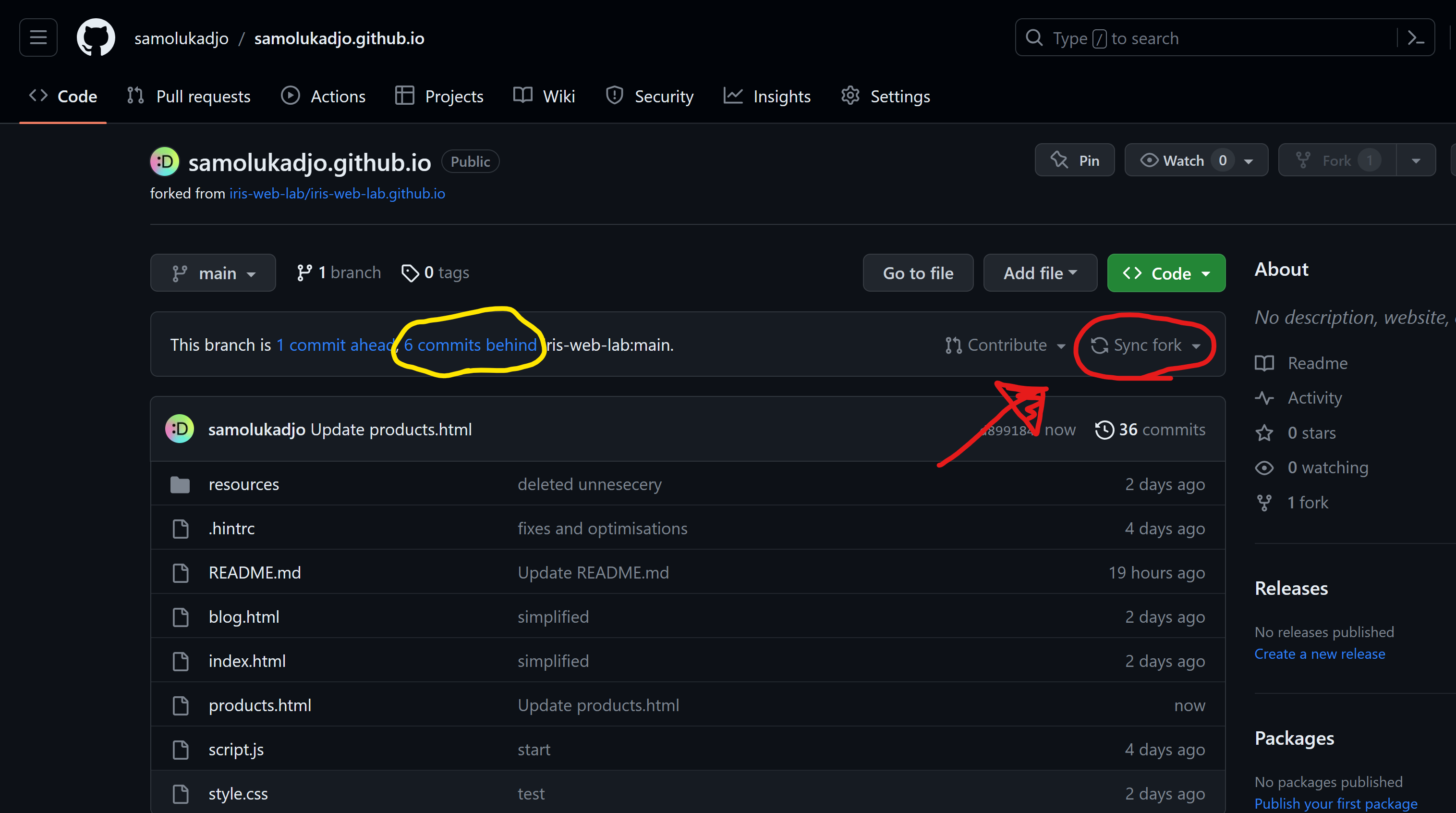 GitHub - iris-web-lab/iris-web-lab.github.io