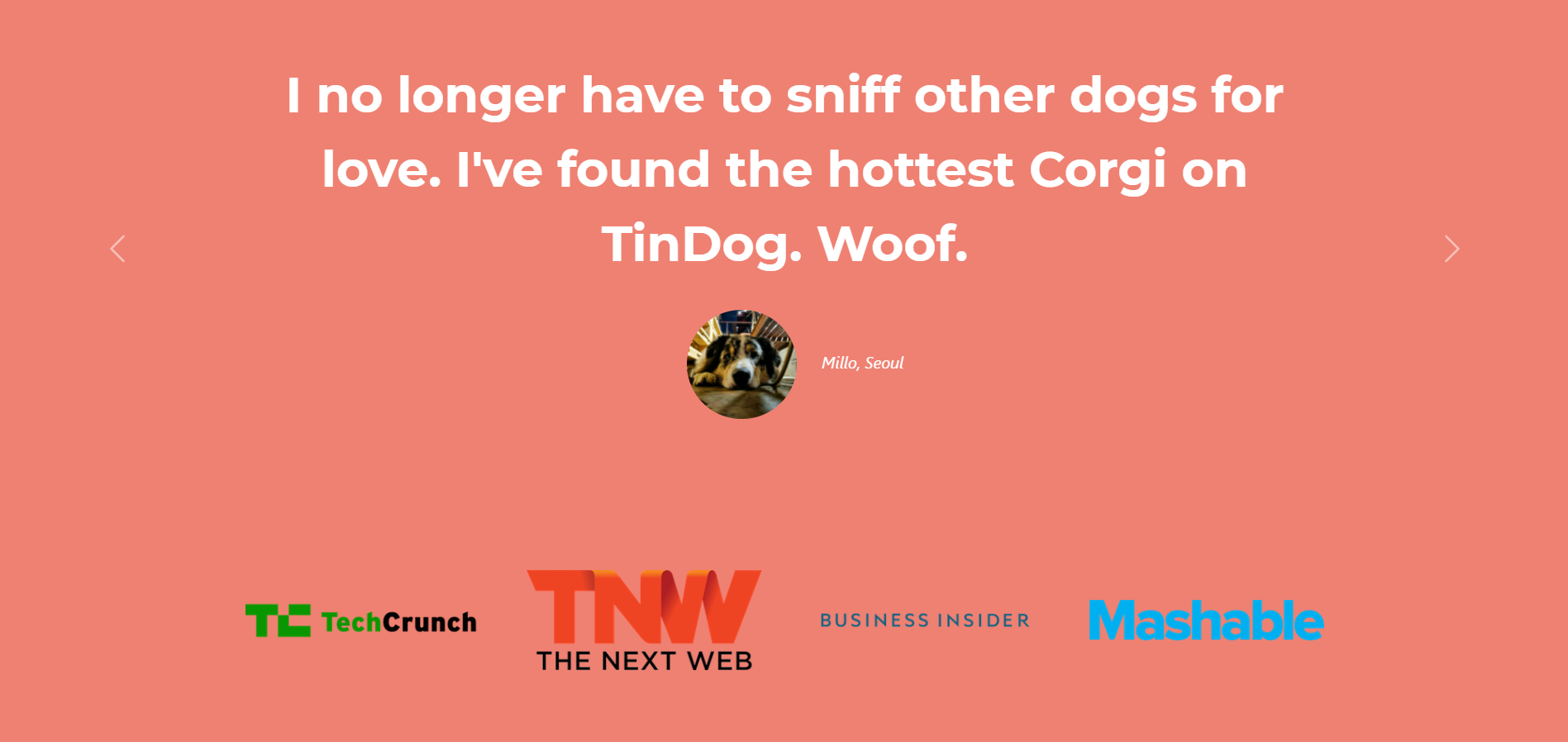 GitHub - ymer28/Tindog: A tinder website made exclusively for Dogs.