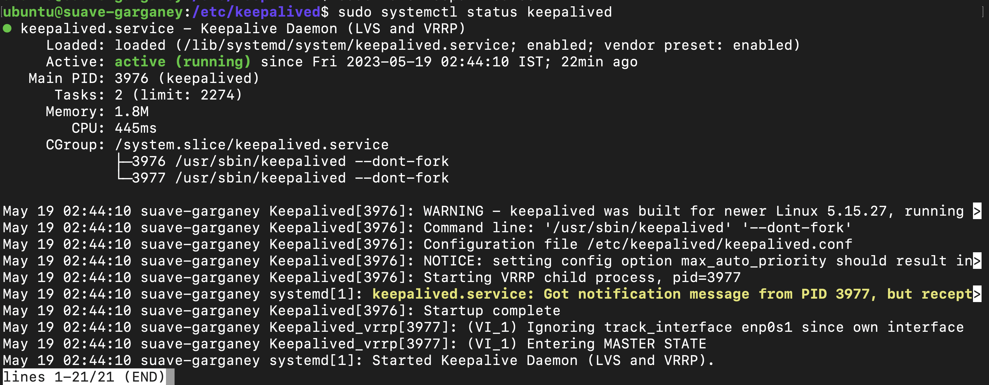 Keepalived.service got notification from from PID 3977, but reception only permitted for main ...