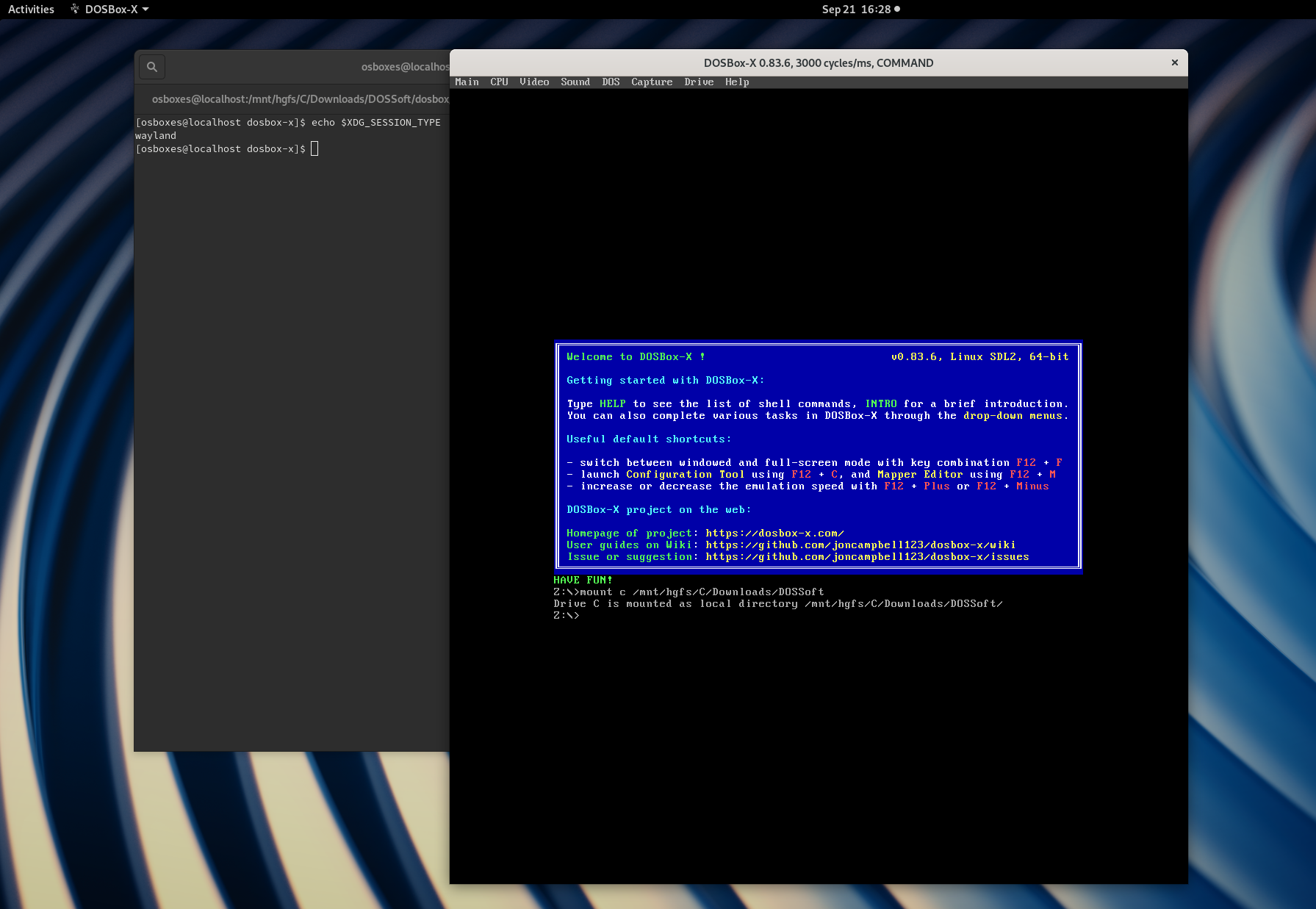 [sdl2] [output=surface] Dragging window corner causes crash · Issue #1872 · joncampbell123 ...