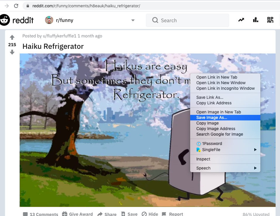GitHub - paul-hammant/browser-download-deleter