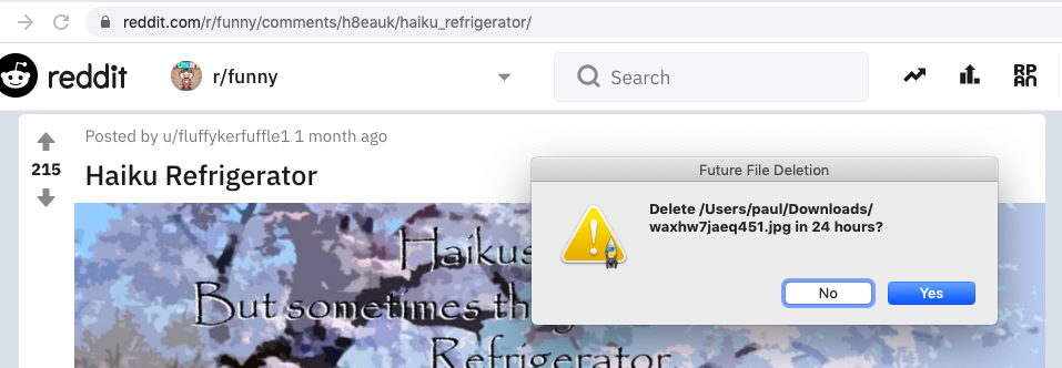 GitHub - paul-hammant/browser-download-deleter