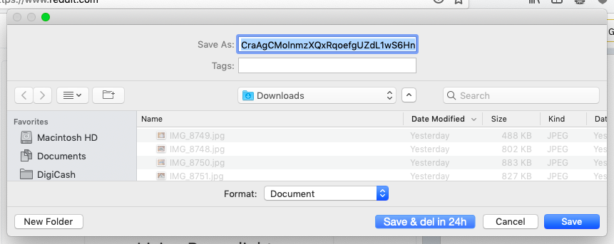 GitHub - paul-hammant/browser-download-deleter