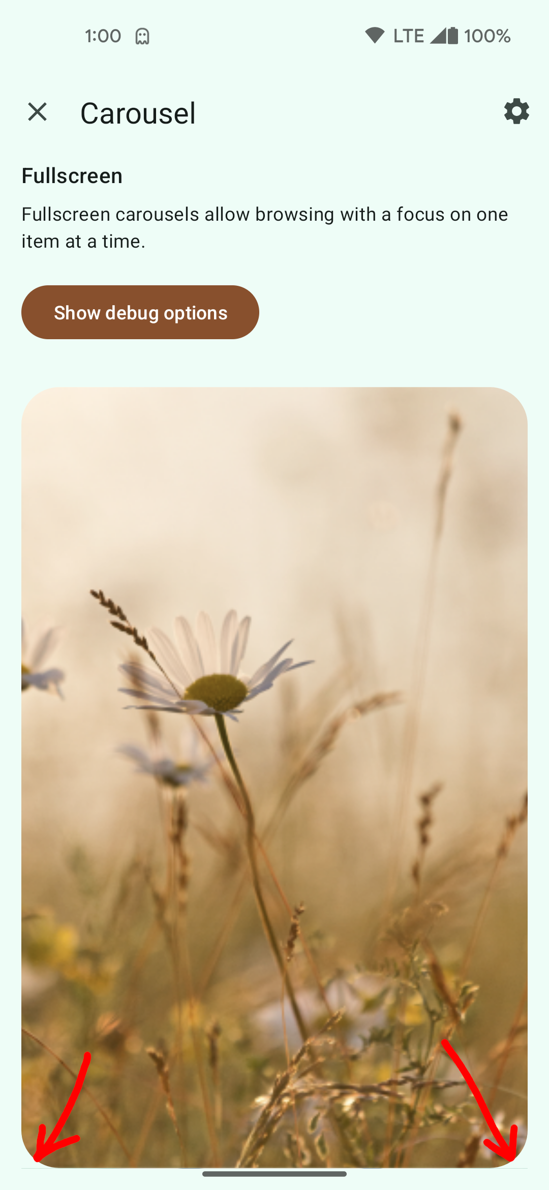 [Carousel] Part of the next item is visible when ...