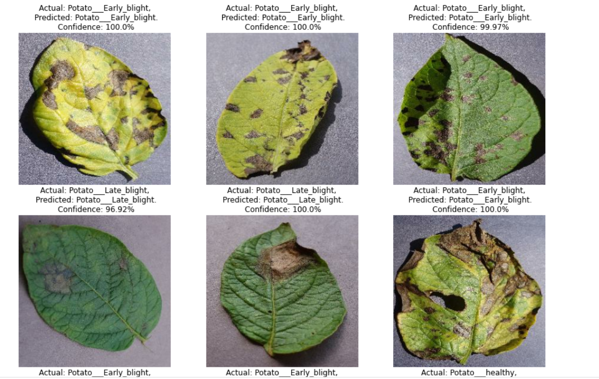 GitHub - zaidiabbas123/Potato_Disease_Prediction