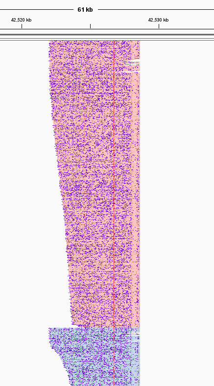 Haplotag Hp Read Per Colour · Issue 329 · Whatshap Whatshap · Github