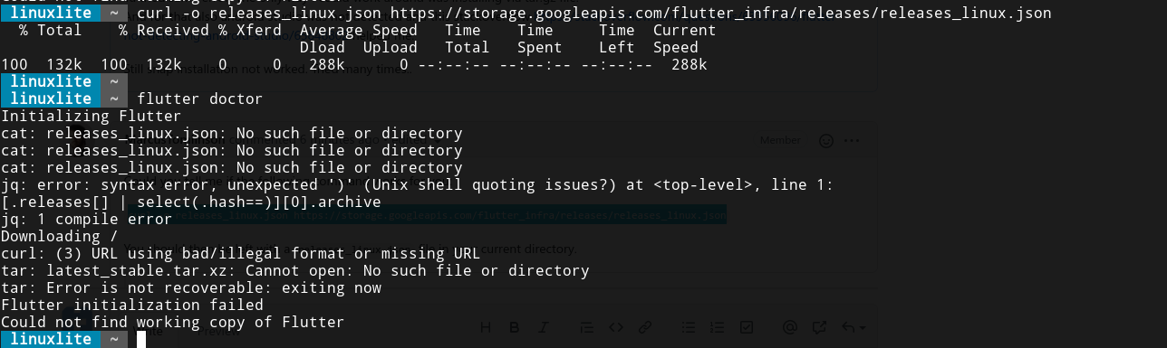 Snap store flutter install not working · Issue #41 · canonical/flutter-snap · GitHub