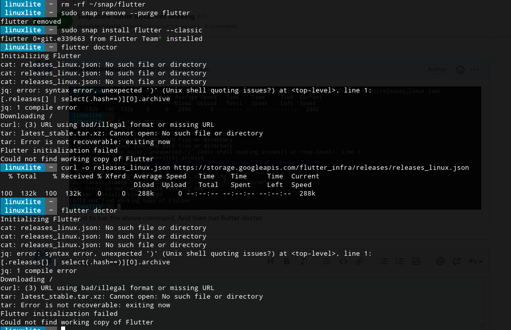 Snap store flutter install not working · Issue #41 · canonical/flutter-snap · GitHub