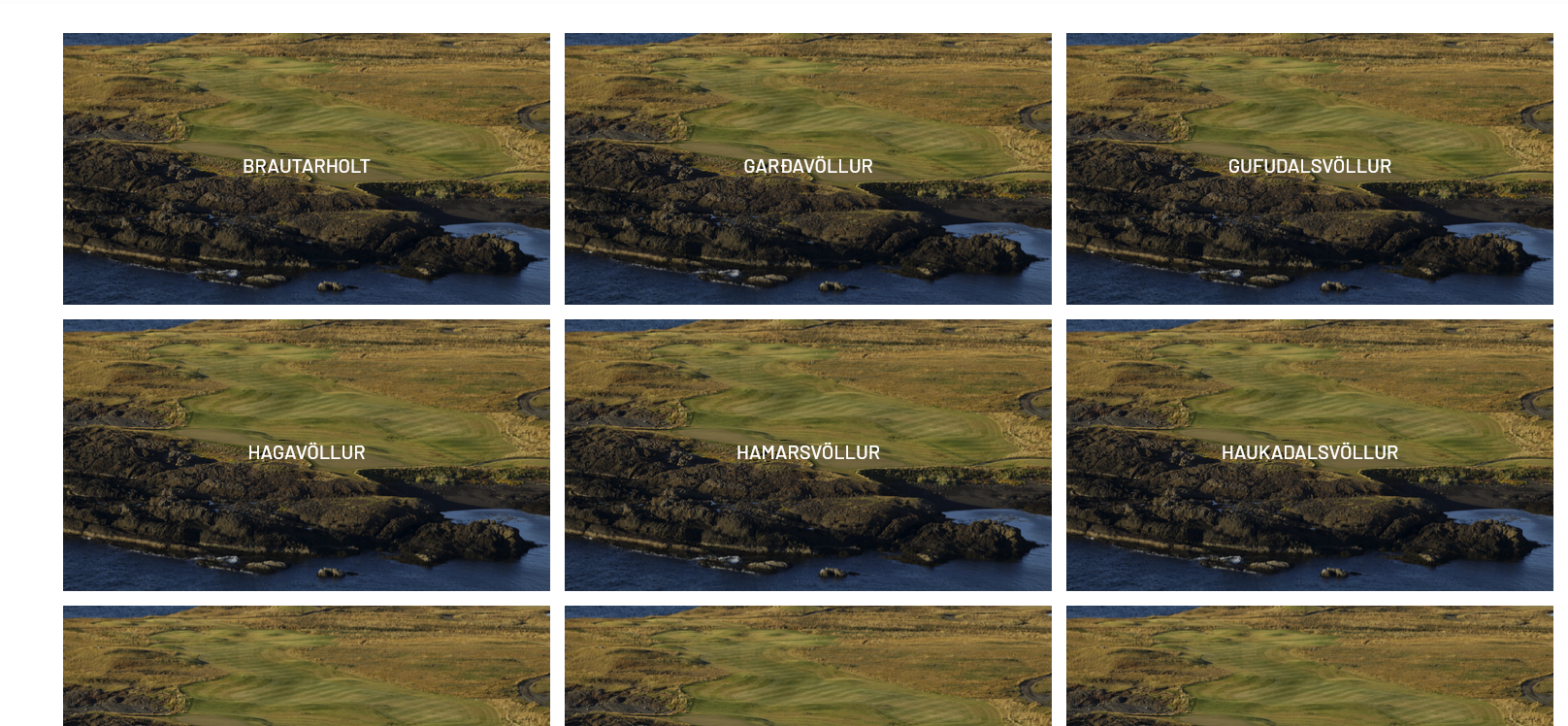 🐞 Bug Report: Loop Grid Duplicated Featured Images When Using Ajax ...