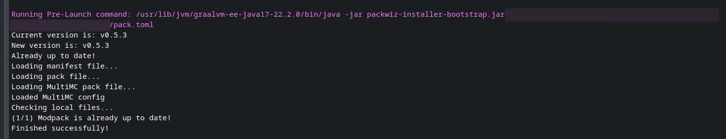 instance not launching with the custom command environment variables ...