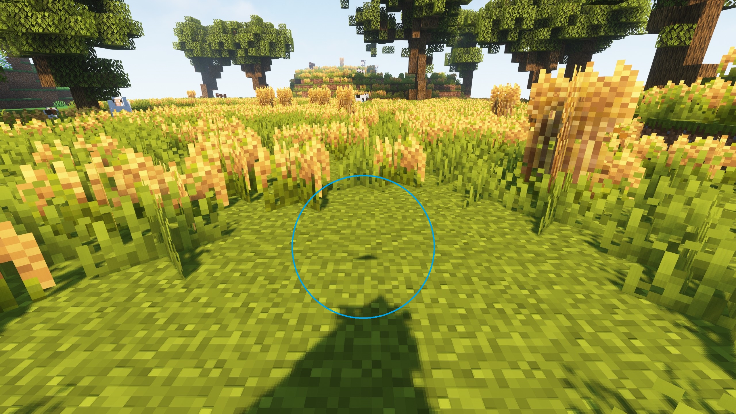 [1.16.5 Forge] Optifine Shaders causes Classic Block Drops to not ...